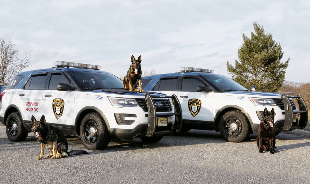 National Dog Day – Toms River Police Department