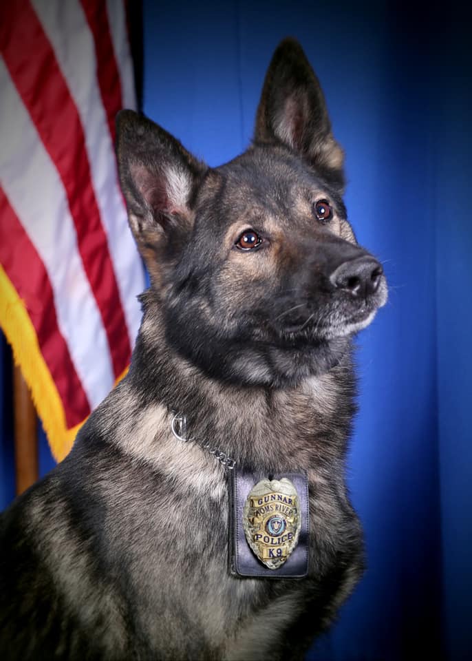 K9 Gunner Passes Away – Toms River Police Department